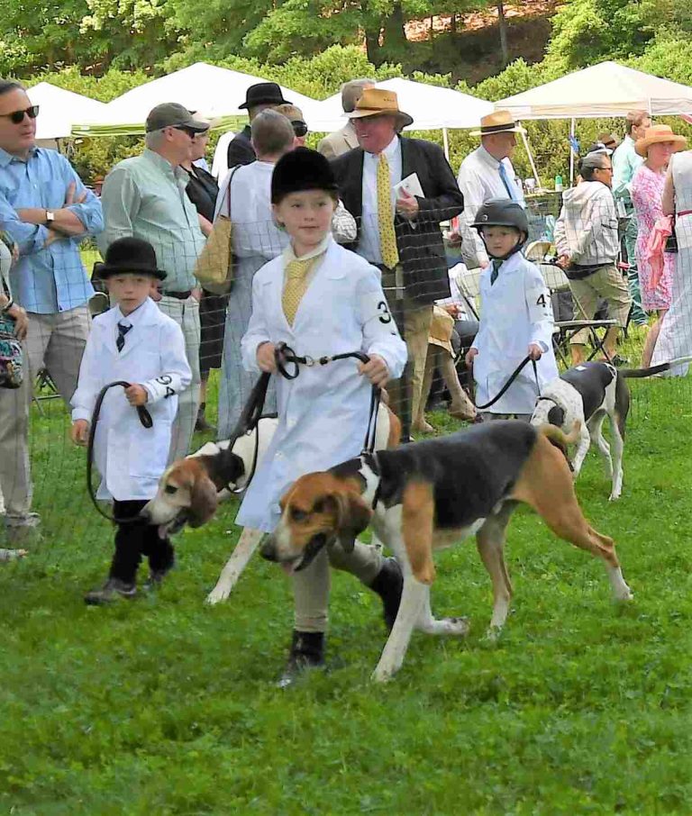 About the Virginia Foxhound Club | Est. 1934